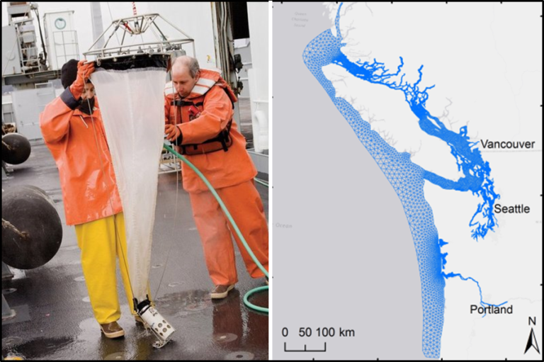 Home Puget Sound Institute