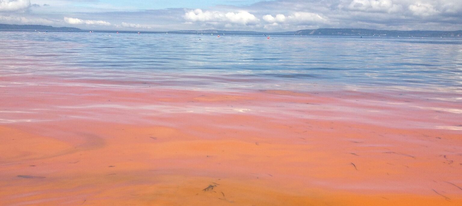 Home Puget Sound Institute