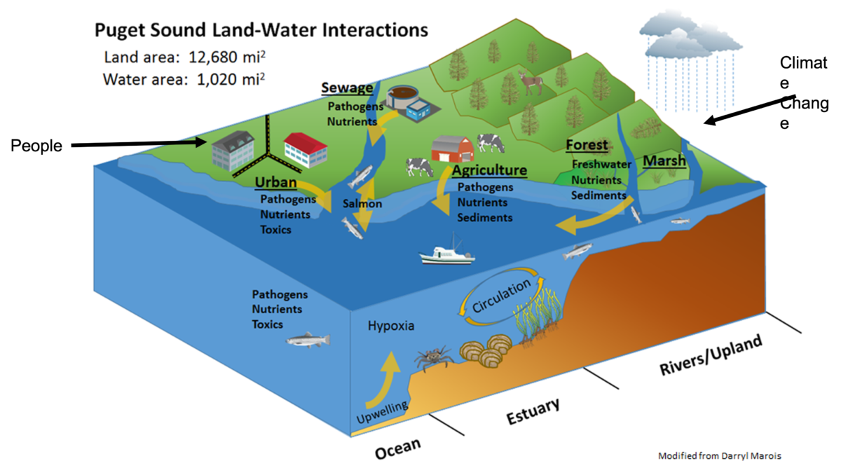 A network of computer models is predicting the future of Puget Sound ...
