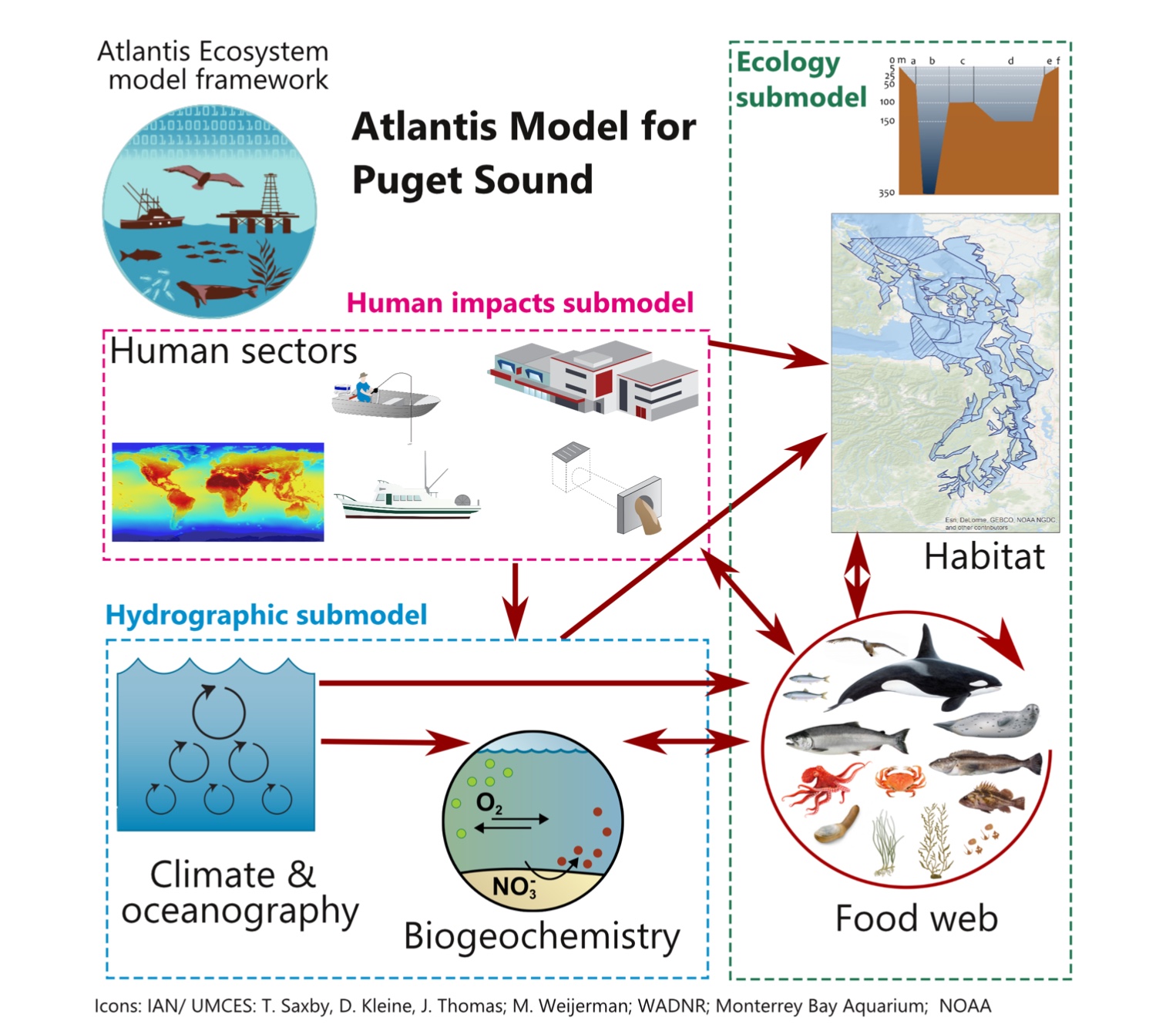 Prey and predators create varying life-or-death conditions for salmon ...