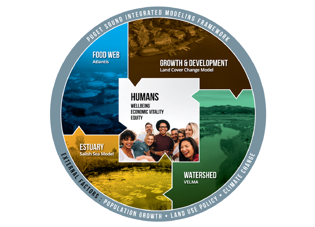 Water quality research | Puget Sound Institute