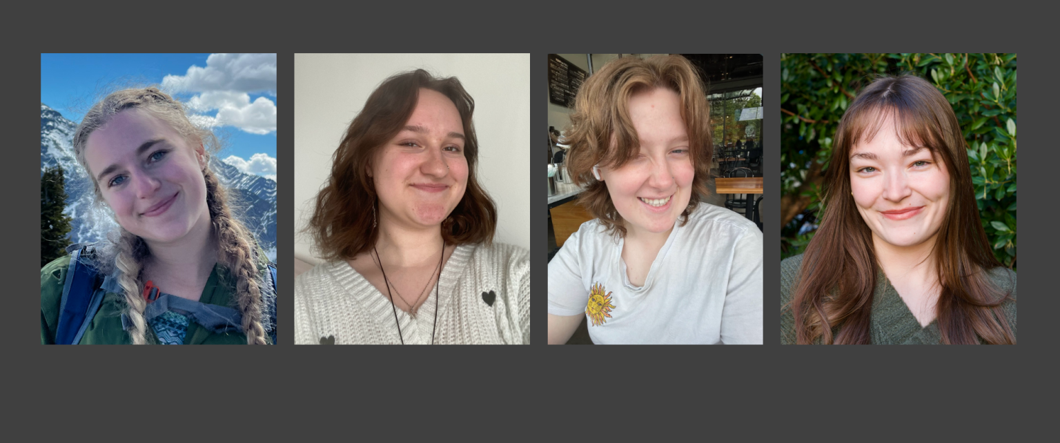 Puget Sound Institute