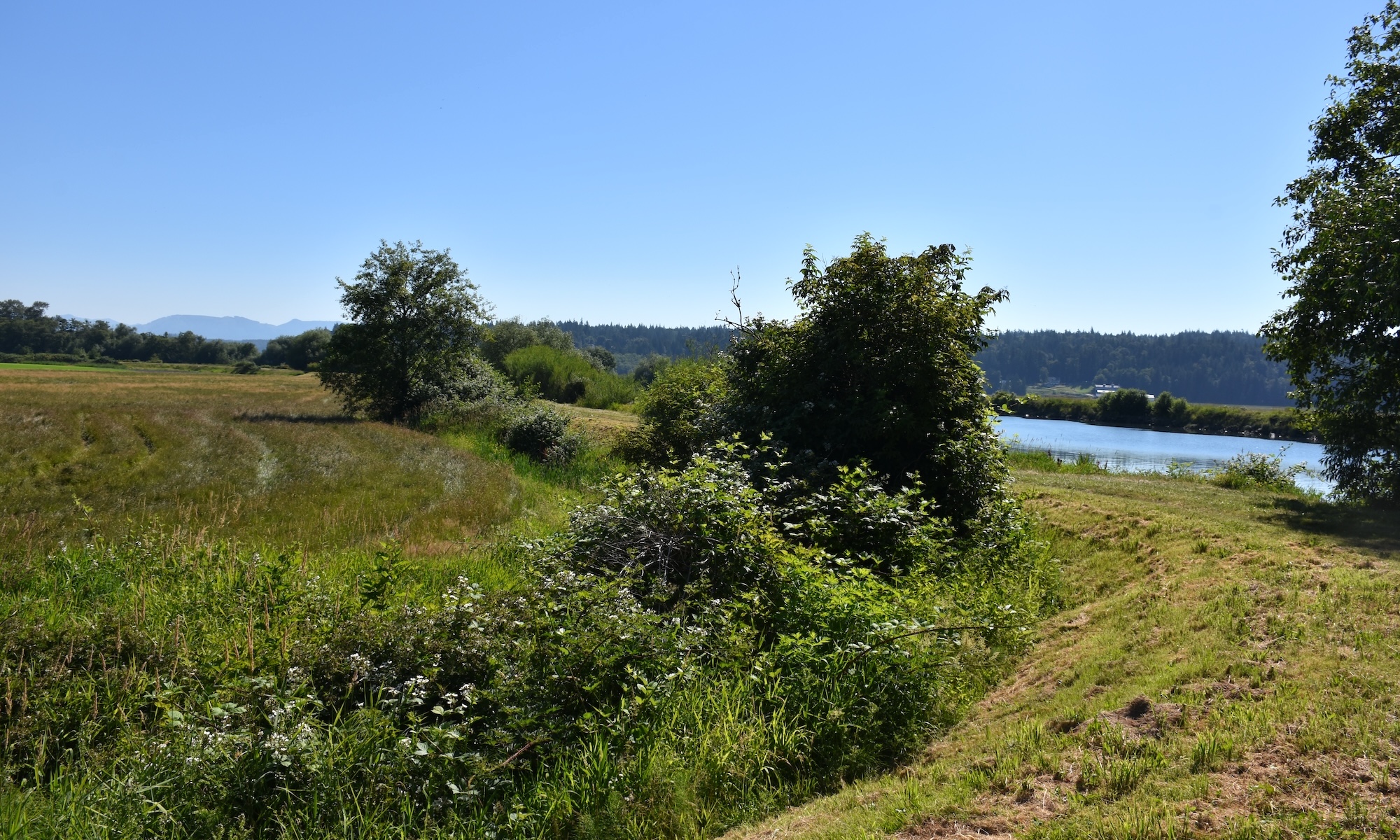 Photo essay: Rebirth of an estuary | Puget Sound Institute